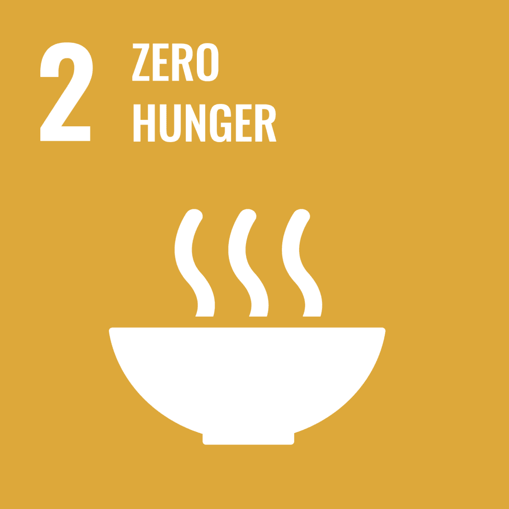 Innovative Carbon Offset Projects Across Africa